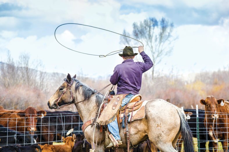 Guide to Ranch Management: What is a Ranch Manager? | Land.com