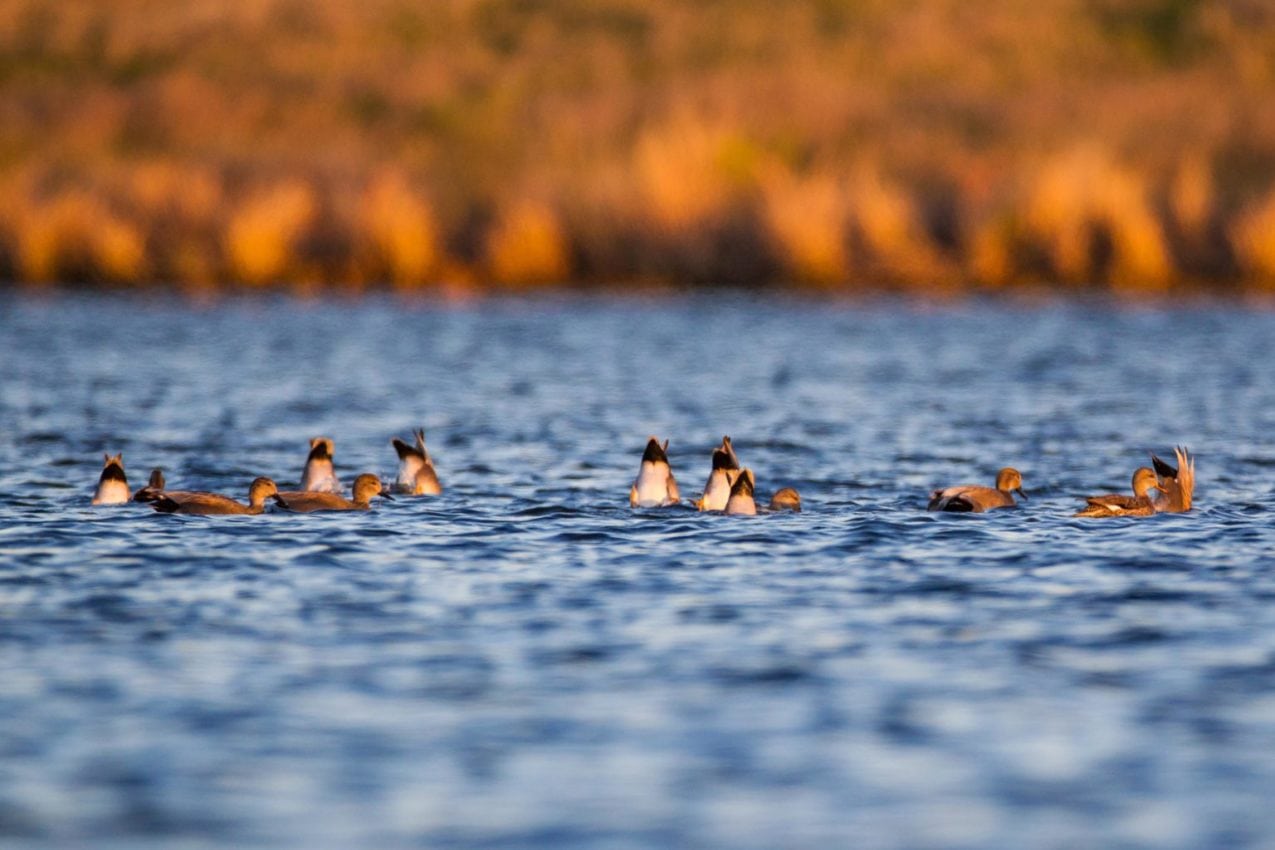 Sandow Lakes Ranch On Track for Partial Sale