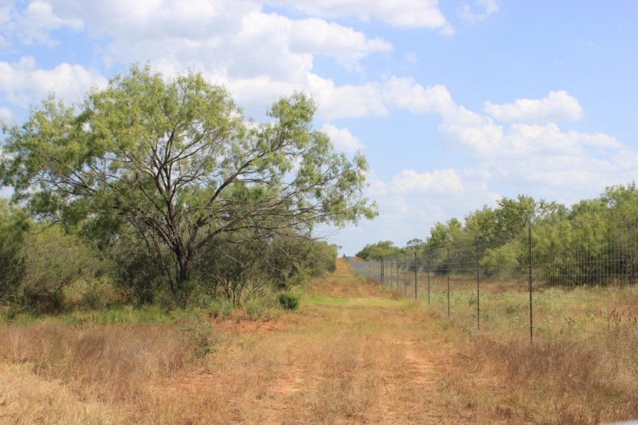 Top Land Broker: Johnny Cavazos, The Texas Ranch Company