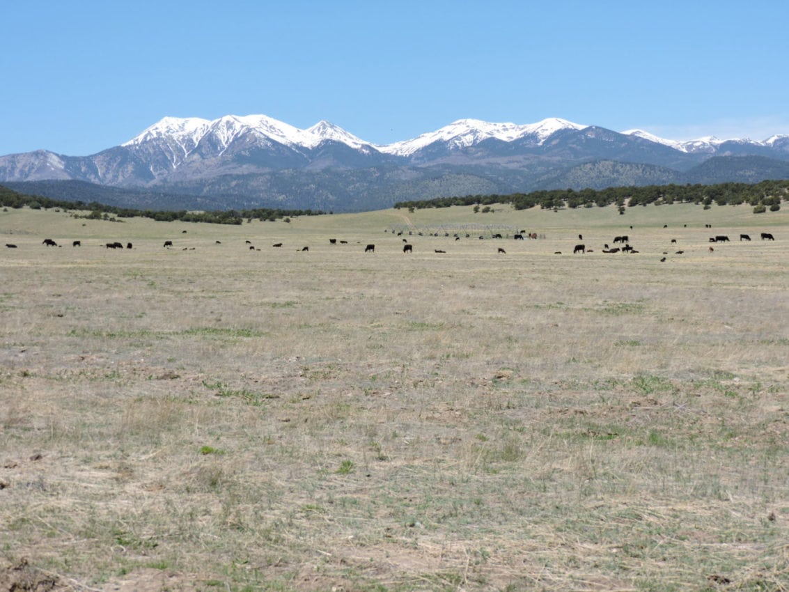 Defining a Legacy Ranch | Land.com