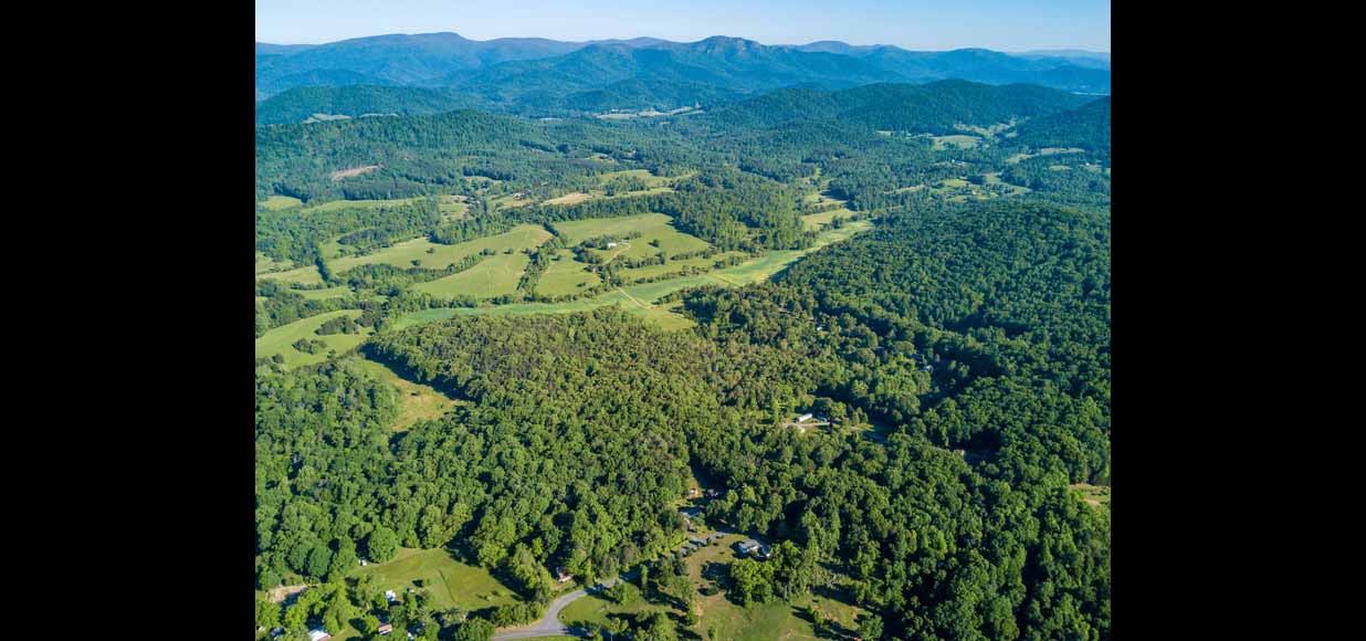 For Sale: Virginia Country Estate on Acreage | Land.com