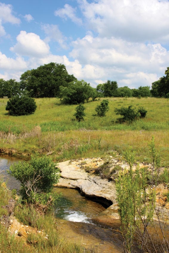 Slow Soak: Guide to Managing Water on Your Land | Land.com