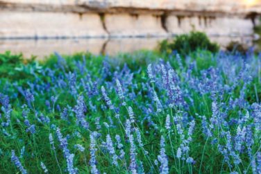 Moody Family's Rio Bonito Ranch for Sale in Texas Hill Country | Land.com