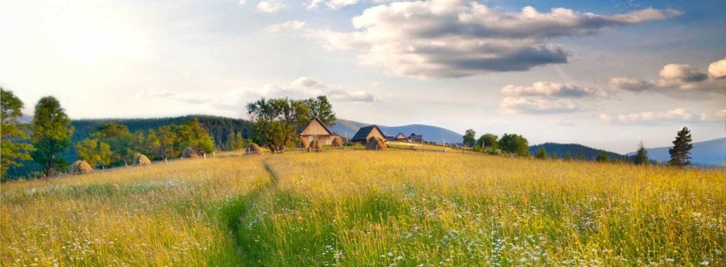 Land articles by National Land Realty | Land.com