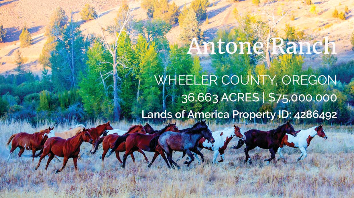 Fall 2017 LAND Magazine Preview | Land.com