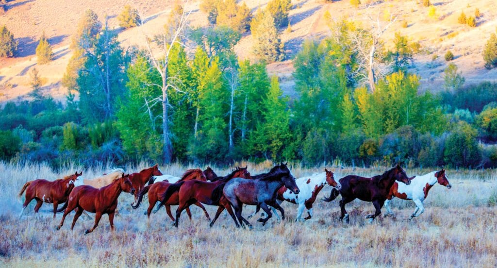 Fall 2017 LANDscapes | Land.com