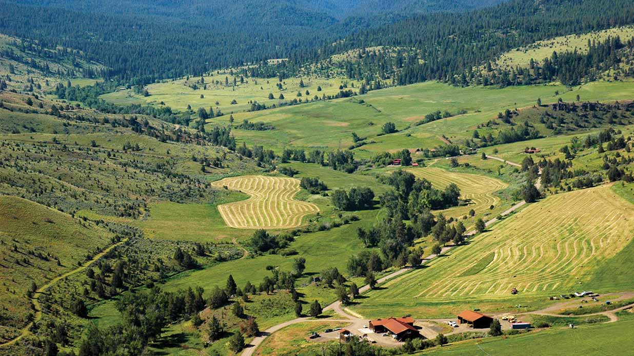 Antone Ranch, A Legacy Recreational Ranch | Land.com