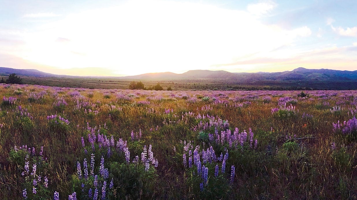 Antone Ranch, A Legacy Recreational Ranch | Land.com