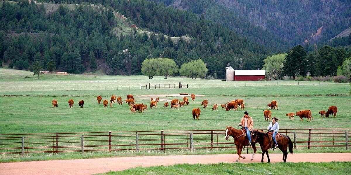 Mirr Ranch Group Sells 2,038-Acre Ranch in Colorado's Scenic Front ...