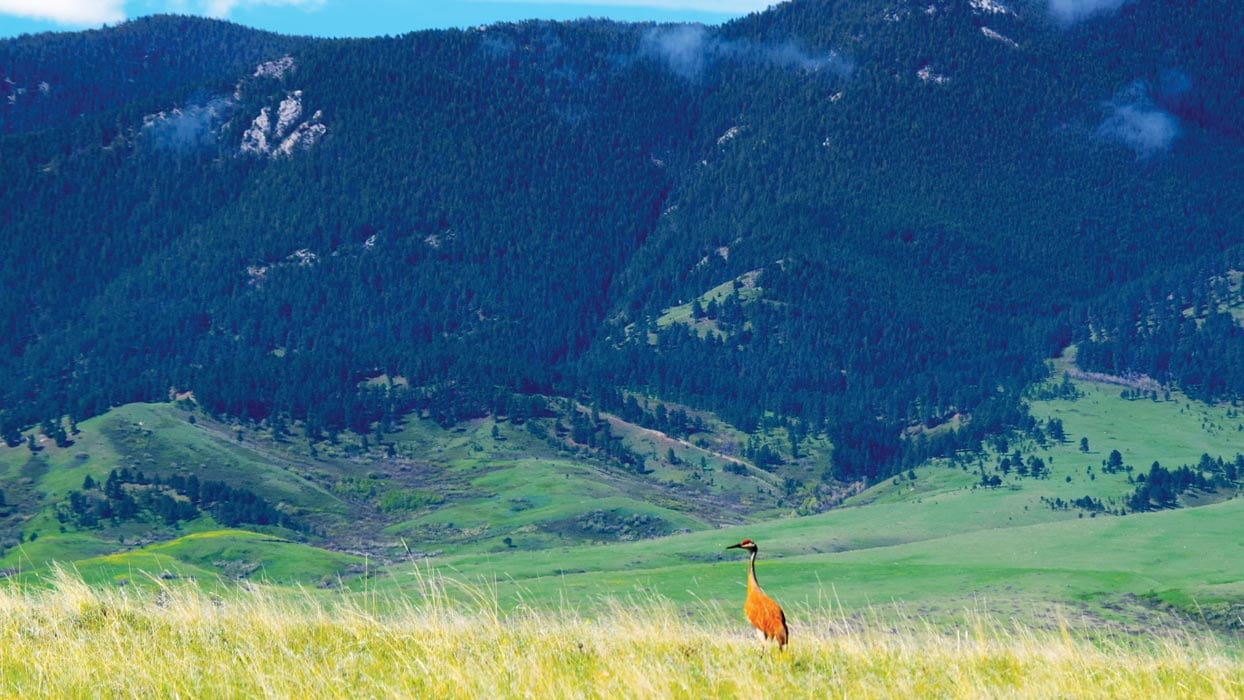 Beaver Creek Ranch of Wyoming | Land.com