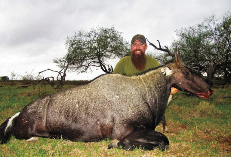 Guide to Hunting Nilgai Antelope in Texas: Land.com