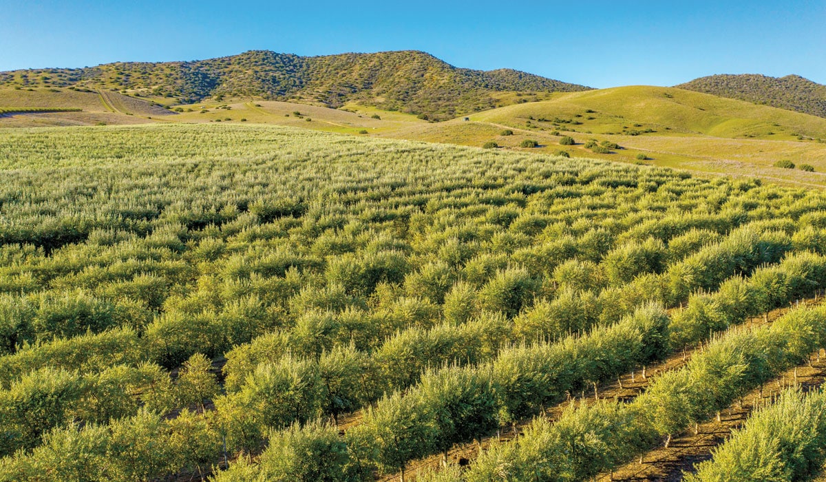 On the Cover: La Panza Ranch | Land.com