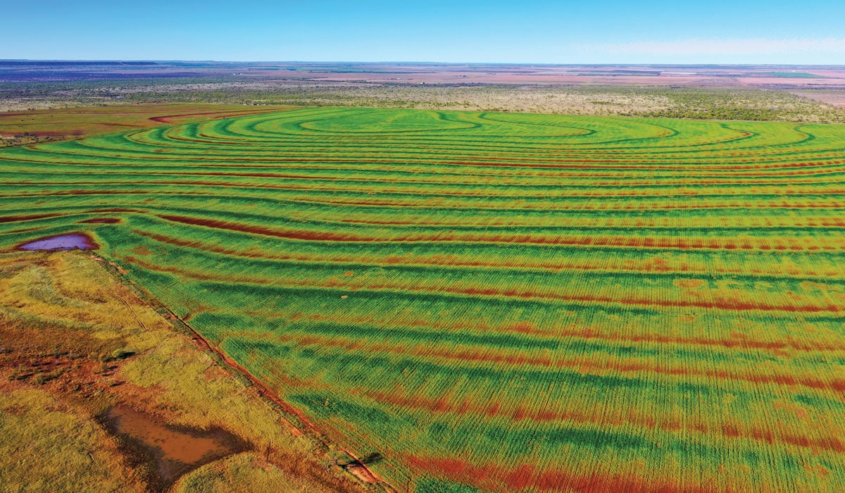 Listing of the Week: Swenson Family Flat Top Ranch | Land.com