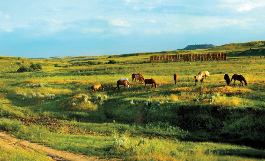 Spring 2019 LANDscapes | Land.com