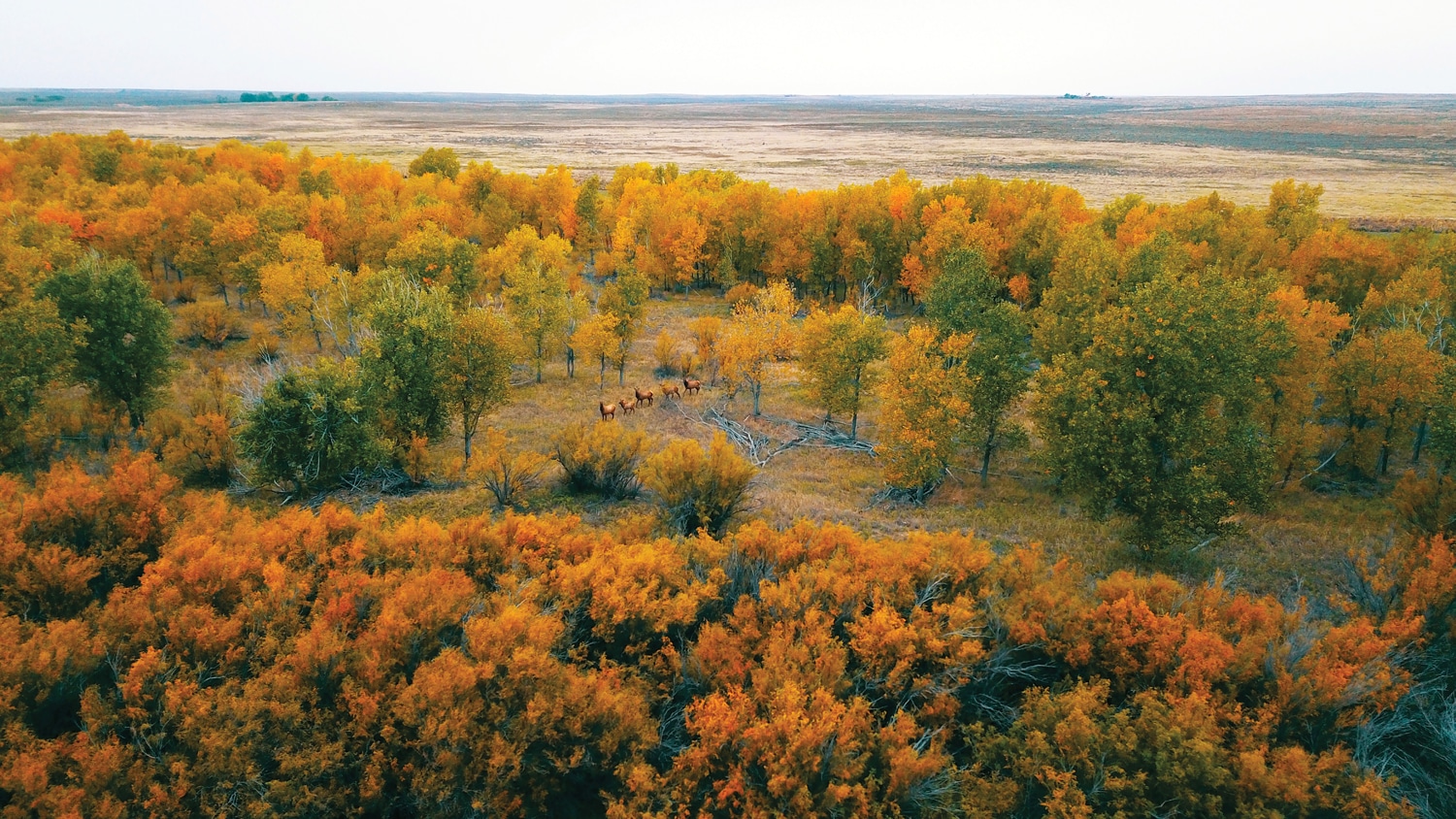 On the Cover: Cimarron Valley Ranch | Land.com