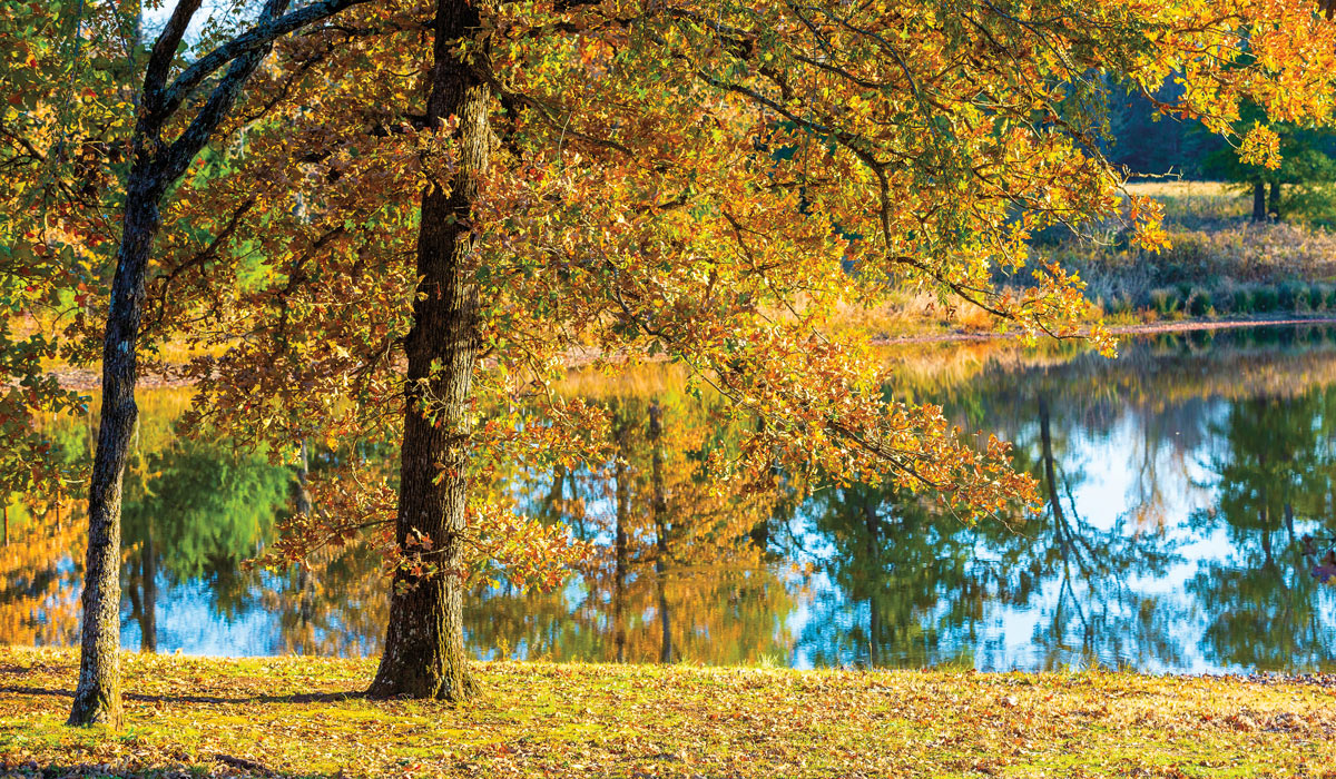 Featured Listing: Black Oak Ranch | Land.com