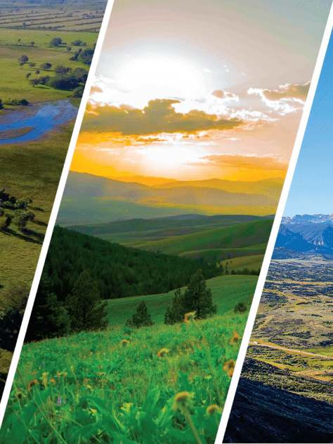 LAND Spring 2020 Archives | Land.com