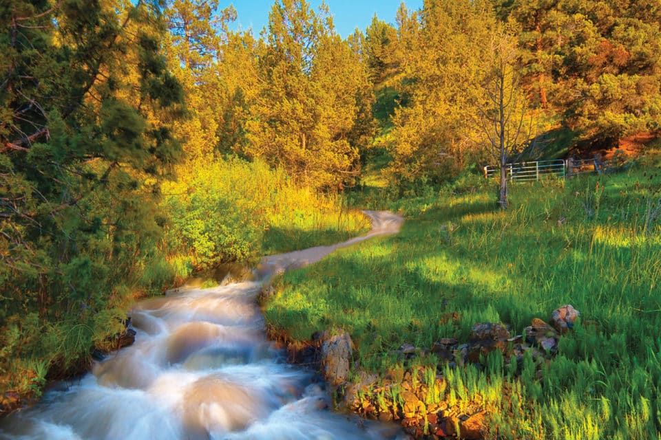 LAND Spring 2020 Archives | Land.com