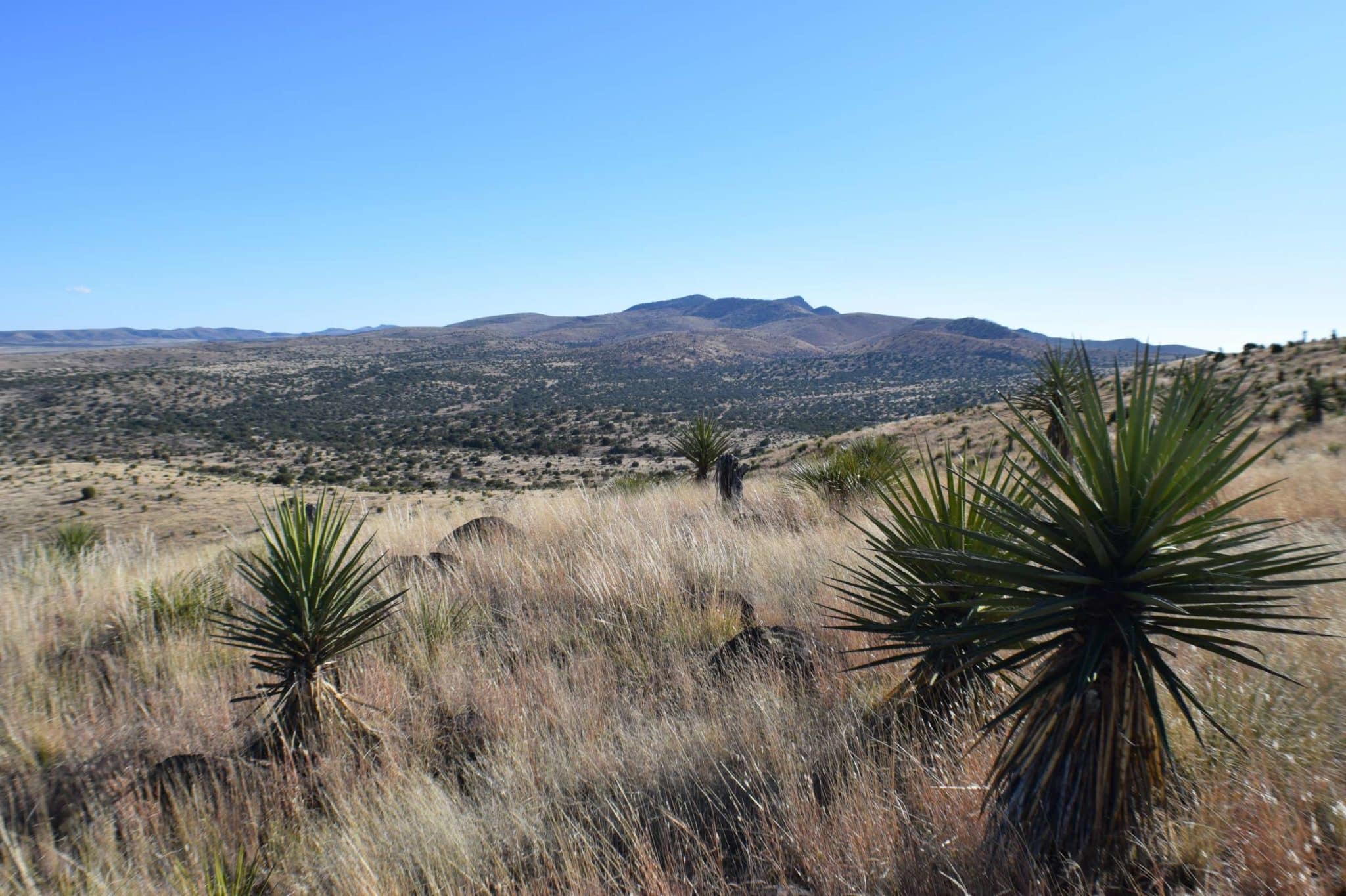 Featured Listing: Petan Ranch | Land.com