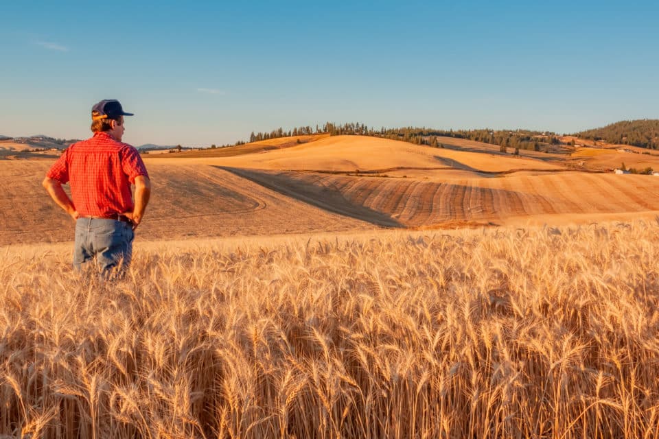 Resources for Selling Land | Land.com