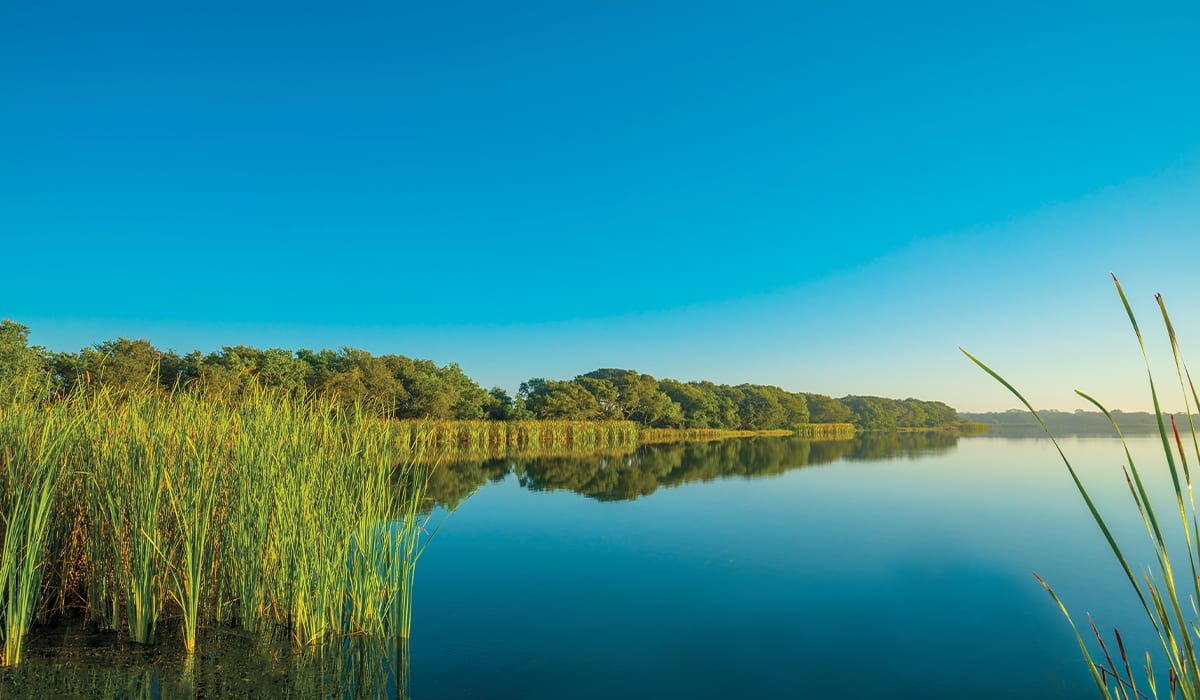 Featured Listing: Lakes of Danbury | Land.com