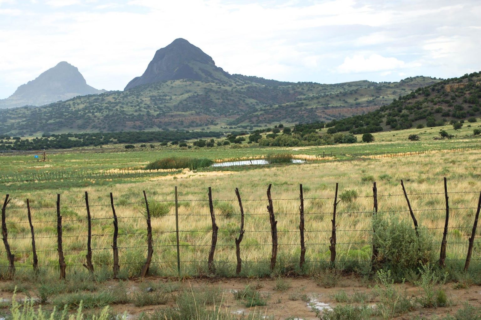 Featured Listing: L Bar Ranch | Land.com