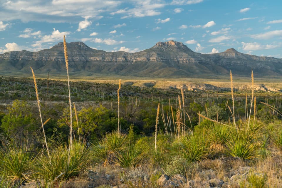 Spotlight Property for Sale from Texas LAND Magazine | Land.com