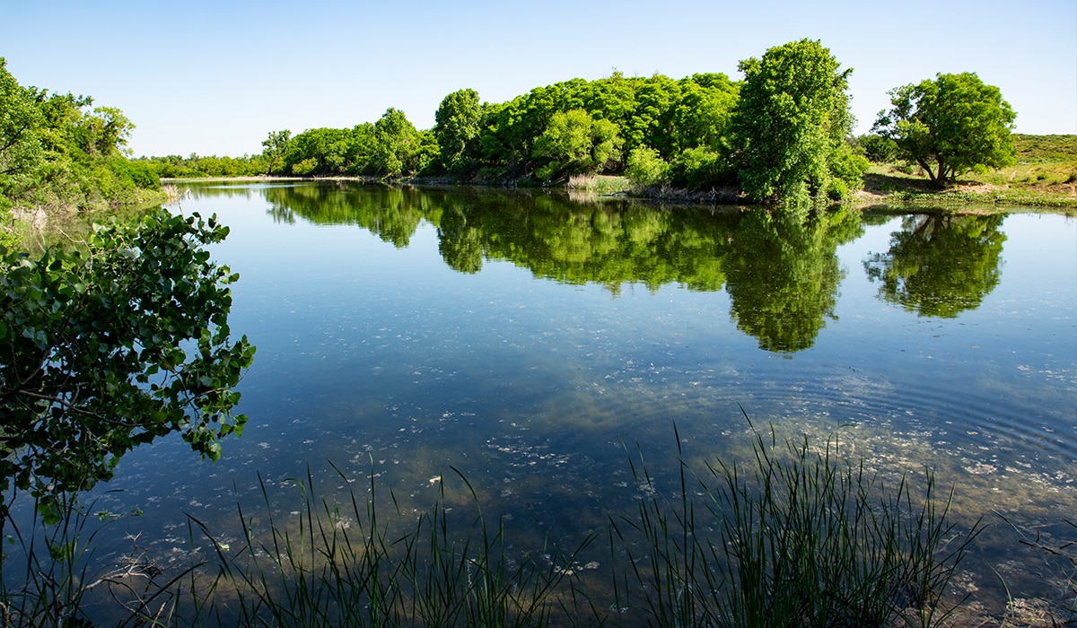 Featured Listing: Turkey Track Ranch | Land.com