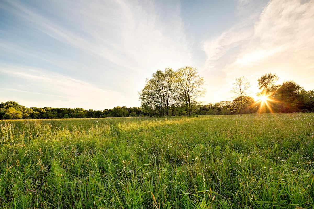 $240 Million Sandow Lakes Ranch Sold | Land.com