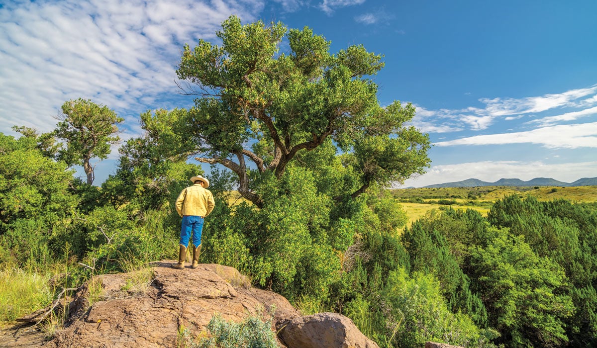 On the Cover: Mount Ord Ranch | Land.com