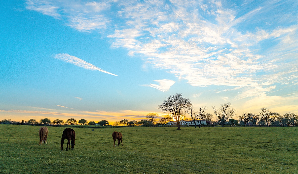Dos Brisas Ranch | Land.com