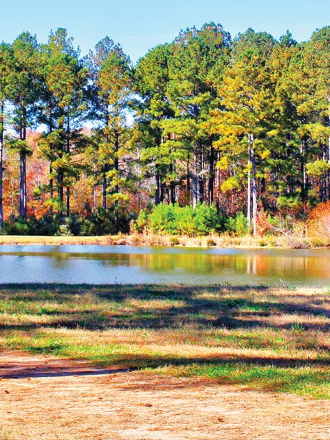 Land Spring 2022 Archives | Land.com