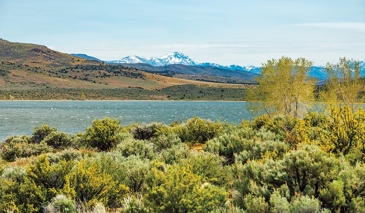 On the Cover: Bently Ranch | Land.com