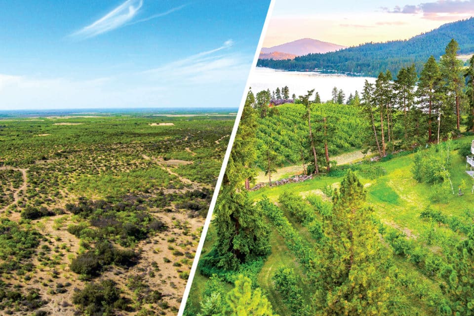 Resources for Buying Land | Land.com