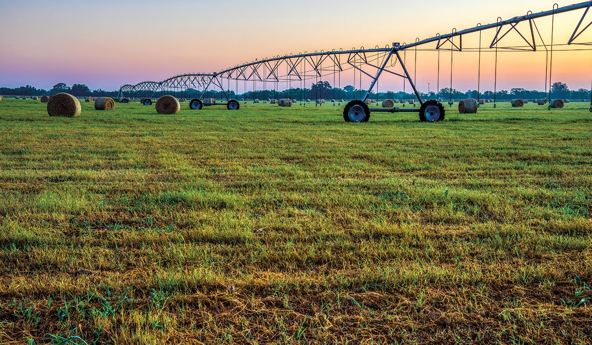 Featured Listing: Two Creeks Ranch | Land.com