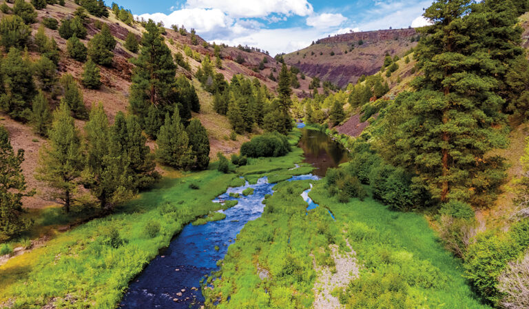 Featured Listing: LS Ranch | Land.com