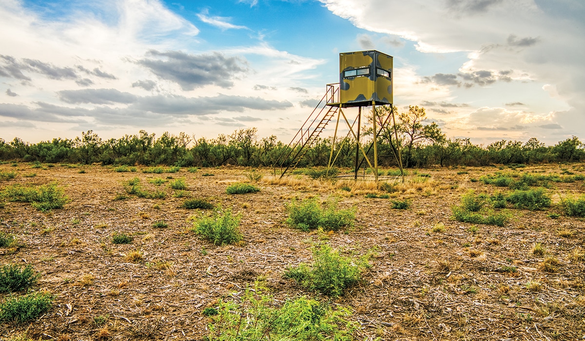 Featured Listing: La Brisa Ranch | Land.com