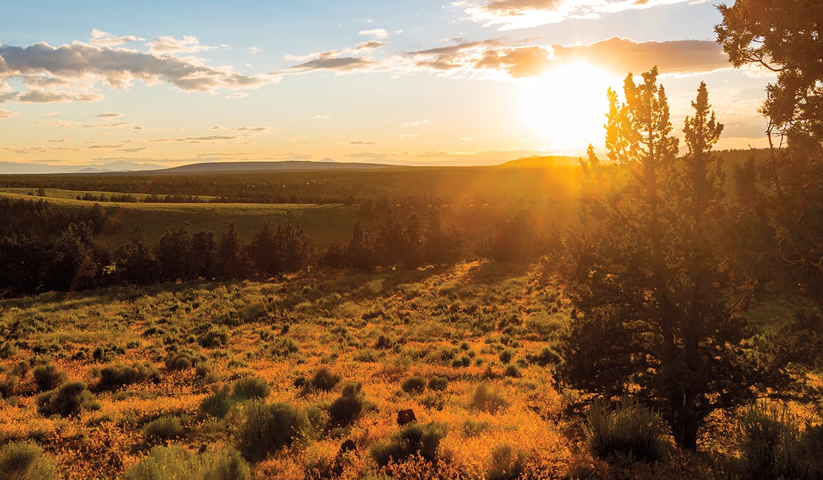 On the Cover: Russell Ranch | Land.com