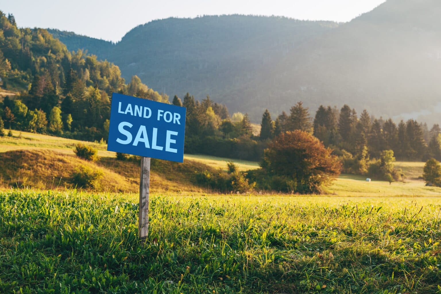 How to Spot High-Potential Land for Future Development | Land.com