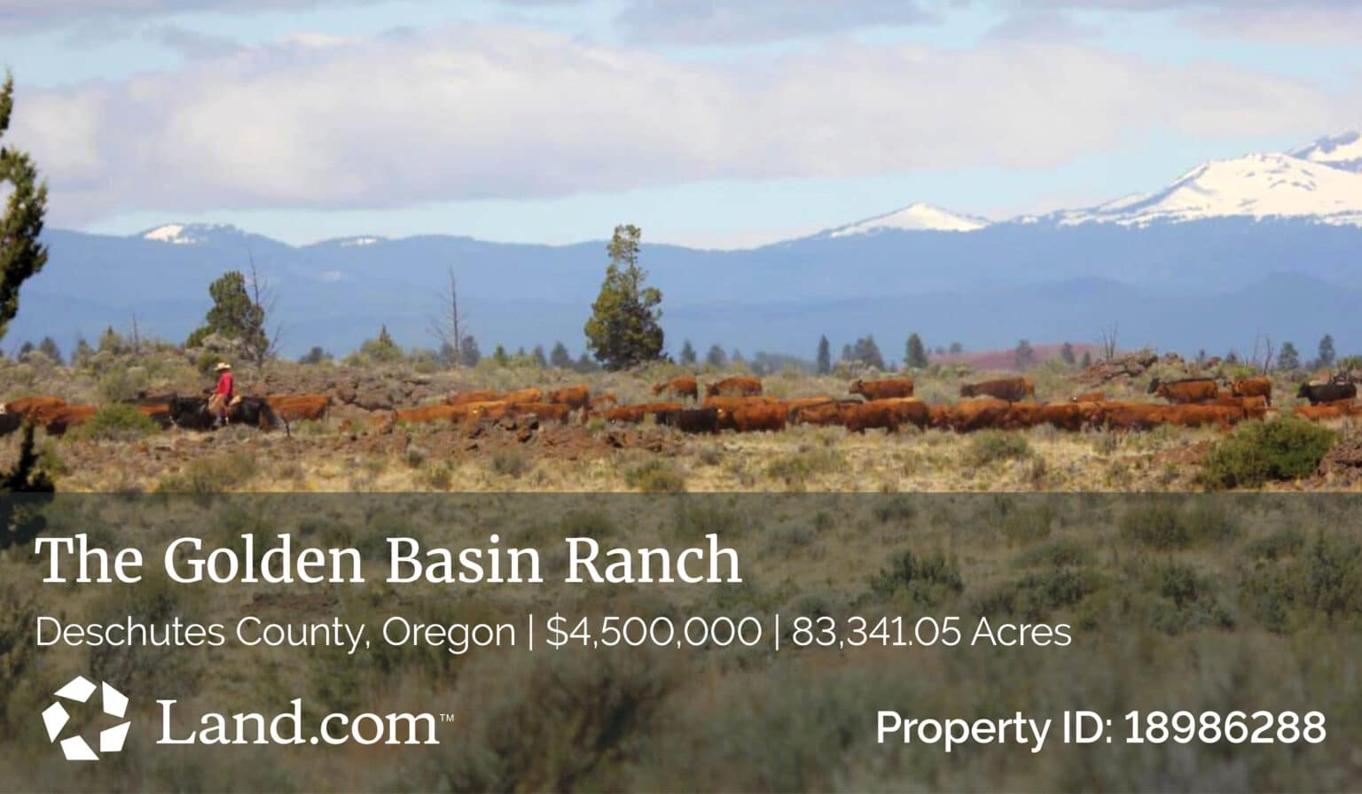 10 Biggest Ranches for Sale in America | Land.com