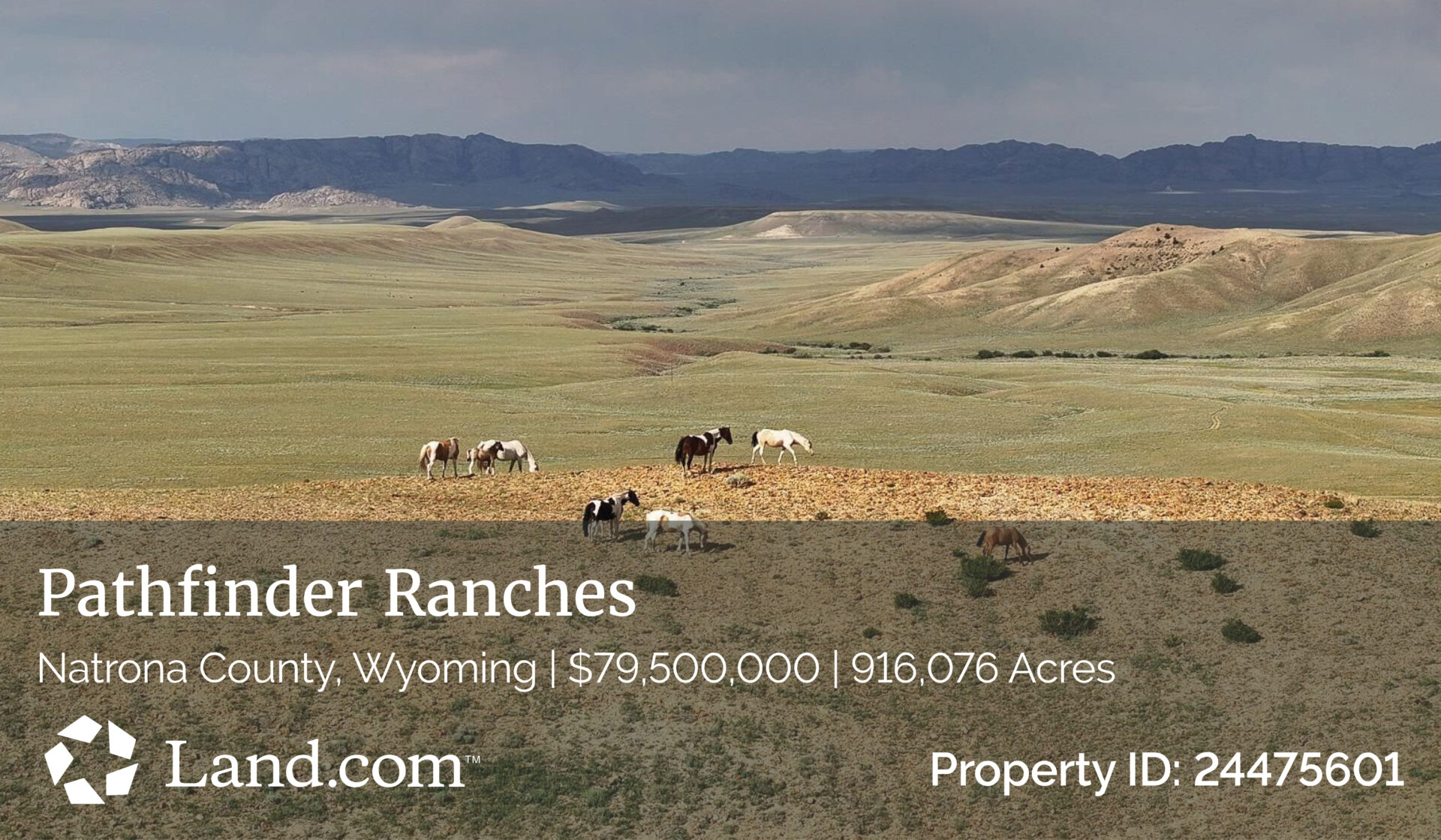 10 Biggest Ranches for Sale in America, Largest Ranches for Sale in USA ...